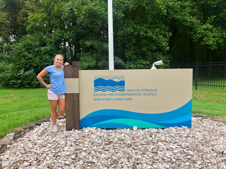 Blog – Anna E. Windle