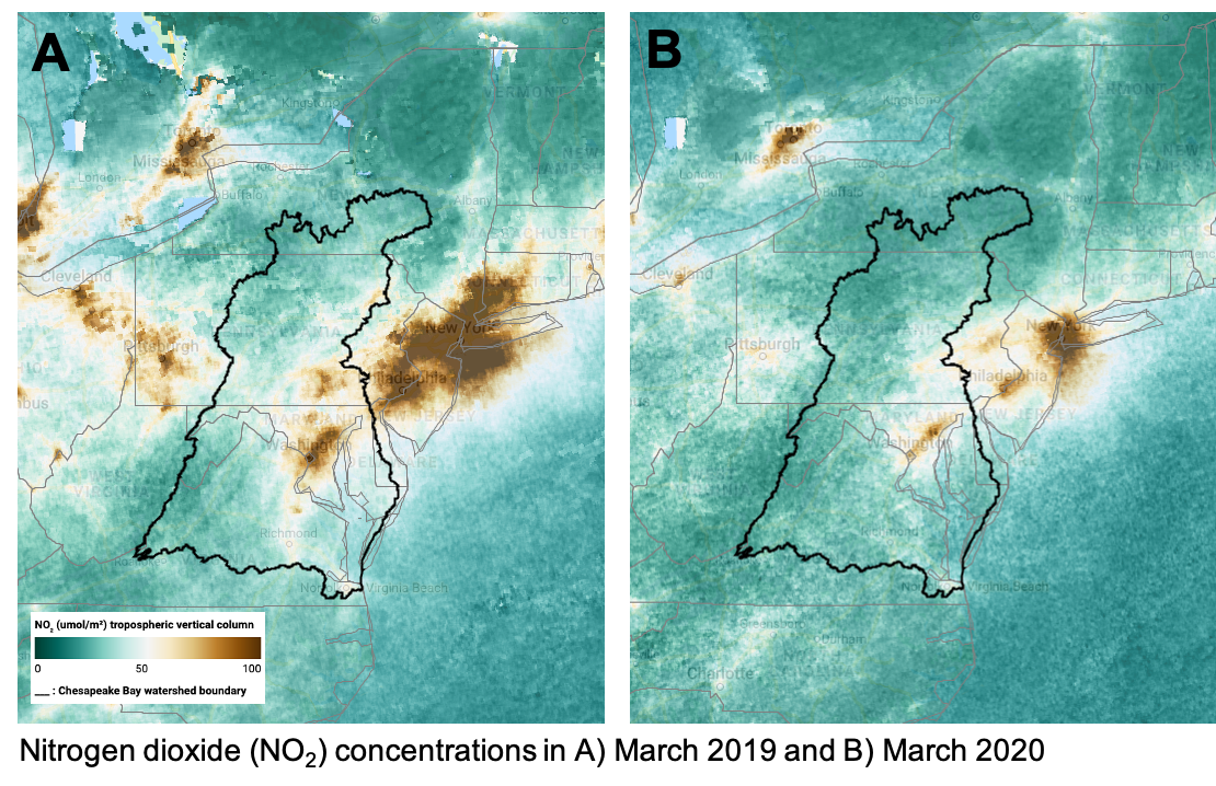 Blog – Anna E. Windle